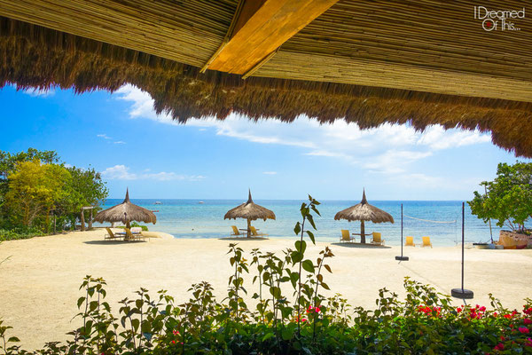 Meet Bohol: The Philippines’ Sun-Kissed Island Paradise
