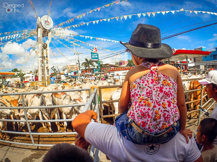 PHOTOS: Masbate Rodeo's Tough Filipino Cowboys